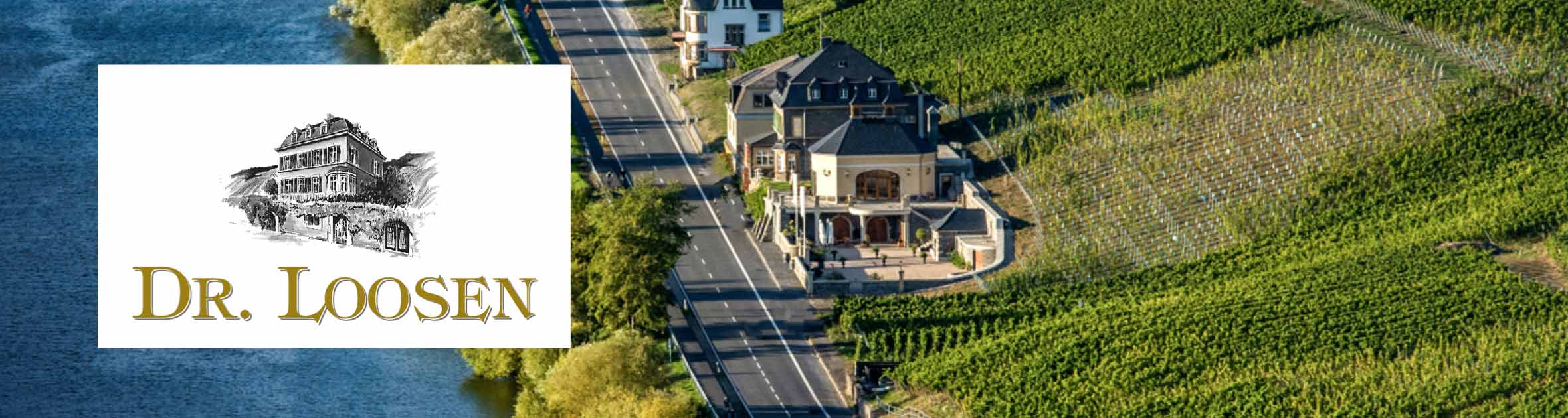 Weingut Dr. Loosen - Weine online kaufen