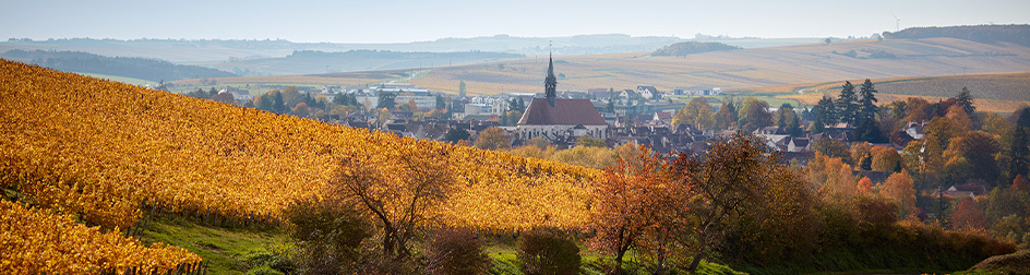 J. Moreau & Fils | Hawesko